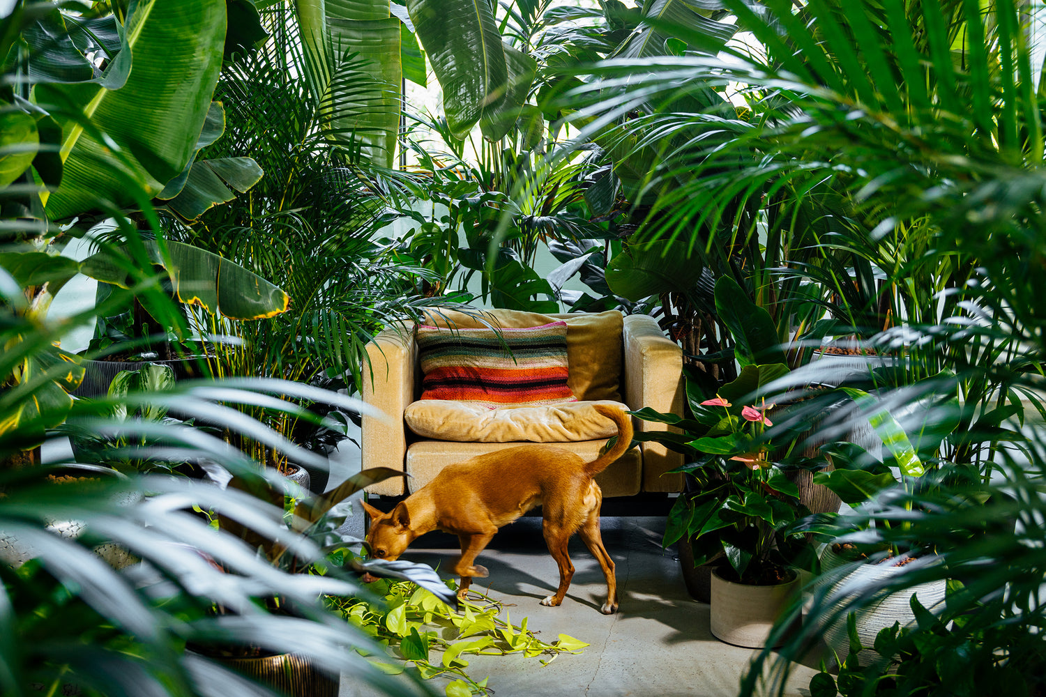 Willkommen im LUWASA Webshop